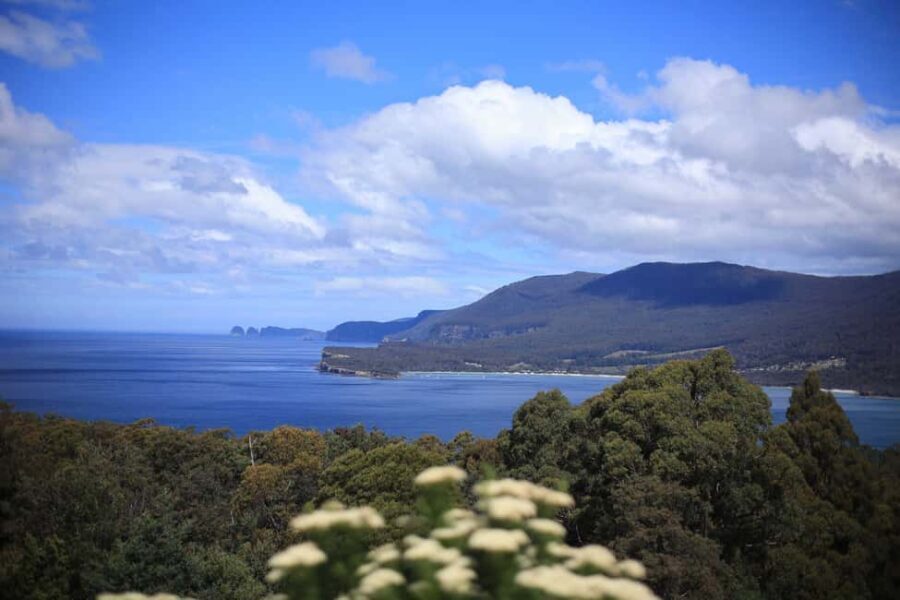 TasmaniaTasman Peninsula Full-Day Escapes from Hobart - Local Food, Shops, and Island Vibes