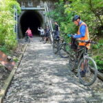 Tasman's Rail Trail : Spooners Tunnel to Nelson Cycle Tour - Practical Details and What’s Included