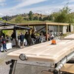 Taumarunui: Forgotten World Rail Cart Tour with Lunch - An In-Depth Look at the Tour