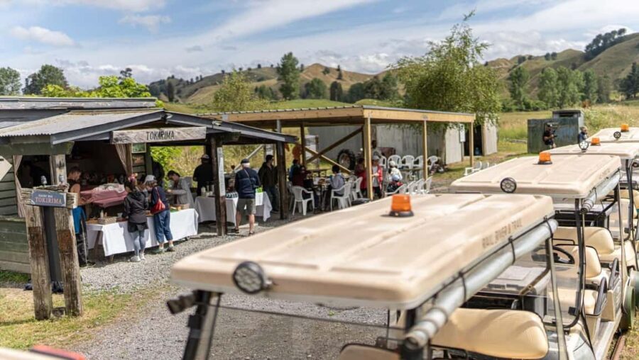 Taumarunui: Forgotten World Rail Cart Tour with Lunch - An In-Depth Look at the Tour