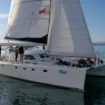 Taupo: Mori Rock Carvings Lake Taupo Catamaran Tour - What the Tour Offers: Itinerary and Experience