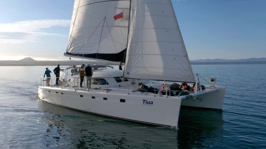 Taupo: Mori Rock Carvings Lake Taupo Catamaran Tour - What the Tour Offers: Itinerary and Experience