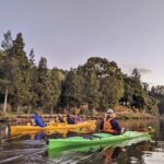 Tauranga: Evening Glowworm Kayak Tour - Authentic Experiences and Highlights from Reviews