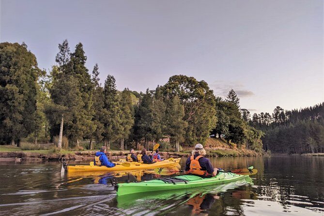 Tauranga: Evening Glowworm Kayak Tour - Authentic Experiences and Highlights from Reviews