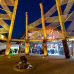 Tauranga Private Excursion: Rotorua -Te Puia-Geysers & Kiwi's - What the Reviews Say