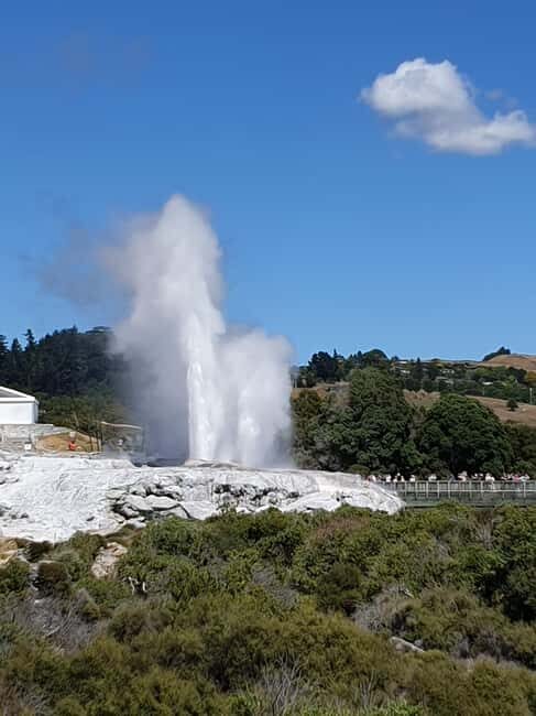 Tauranga: Rotorua Redwoods Tour & Maori Village Experience - Final Thoughts