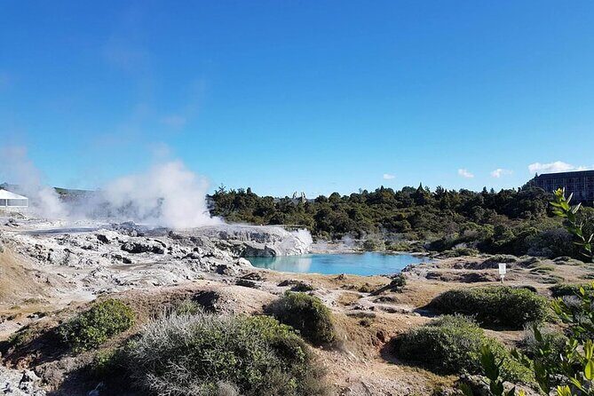Tauranga Shore Excursion Rotorua Maori Village - What’s Included and What’s Not