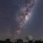 Tawharanui: Kiwi Spotting & Stargazing Tour w/ Optional Stay - Authenticity and Real Experiences