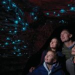 Te Anau Glow Worm Caves Tour - The Itinerary in Detail