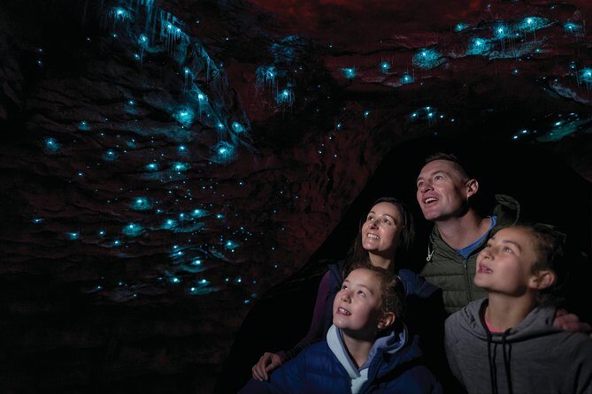 Te Anau Glow Worm Caves Tour - The Itinerary in Detail
