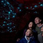 Te Anau: Glowworm Caves Guided Tour - The Itinerary and What to Expect