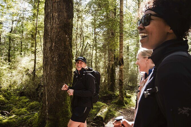 Te Anau Jetboat Experience, Kepler Guided Hike, Transport & Lunch - The Sum Up: Is This Tour Worth It?