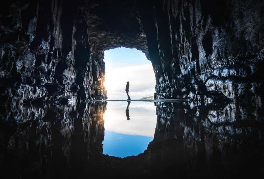 Te Anau to Dunedin via the Catlins & Invercargill 1 Way Tour - The Itinerary Breakdown: What Makes Each Stop Special