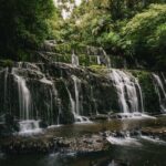 Te Anau to Dunedin Via The Catlins Small-Group Tour (One-Way) - What’s Included and What’s Not