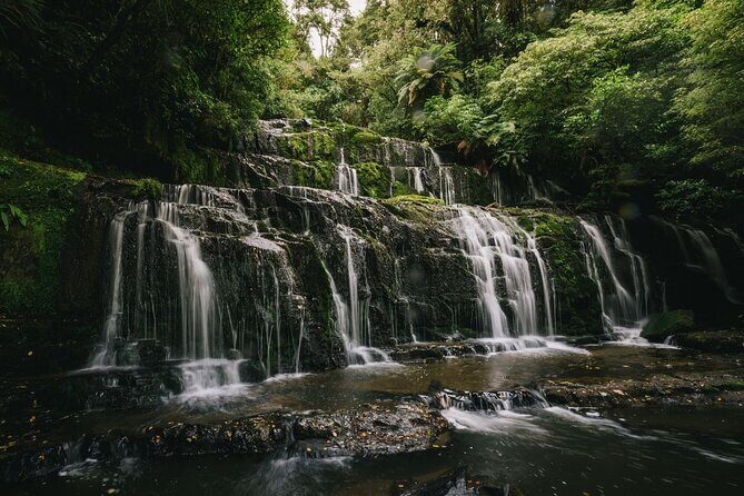 Te Anau to Dunedin Via The Catlins Small-Group Tour (One-Way) - What’s Included and What’s Not
