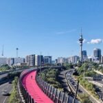 Te Puia And Redwood Park Day Trip Transport From Auckland - The Experience Beyond the Itinerary