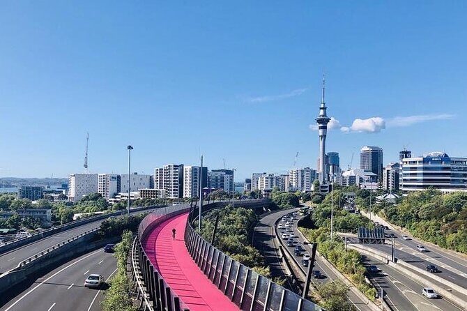 Te Puia And Redwood Park Day Trip Transport From Auckland - The Experience Beyond the Itinerary