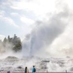 TE PUIA Geothermal, Polynesian Spa & Blue Springs Day Tour Ex AKL - Practical Details That Matter