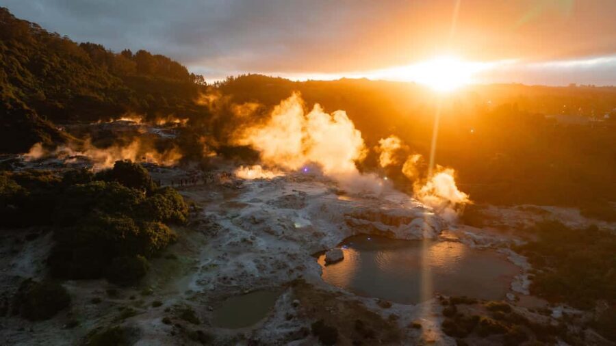 Te Puia: Te P Combo: Te R, Dinner, and Haka Performance - Dining With a View: The Buffet Dinner