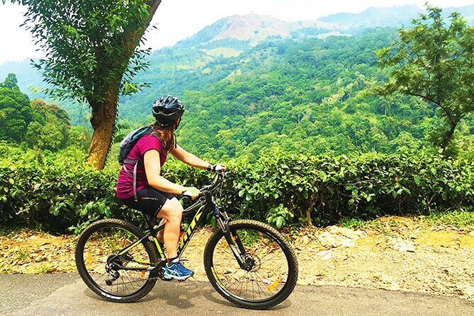 Tea Fields by Bicycle from Kandy - Practical Details and What Matters to You