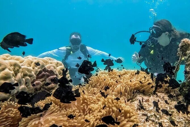 Teahupo'o Jurassic Tour and Private Diving - What Previous Travelers Say