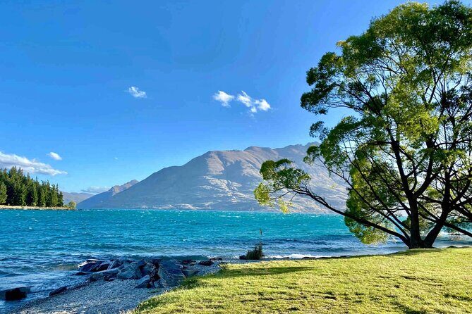 Tekapo Link Duo-Christchurch and Queenstown - A Detailed Look at the Experience