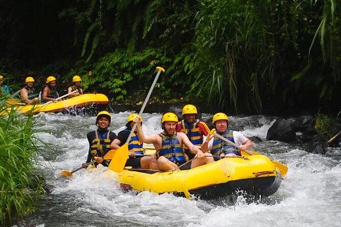 Telagawaja Rafting & East of Bali Tour - Hidden Gem: Tukad Cepung Waterfall