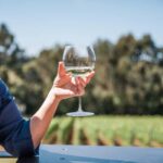 Ten Minutes by Tractor: Fine Wine & Gastronomy Experience - An In-Depth Look at the Experience
