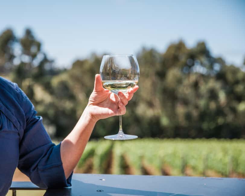 Ten Minutes by Tractor: Fine Wine & Gastronomy Experience - An In-Depth Look at the Experience