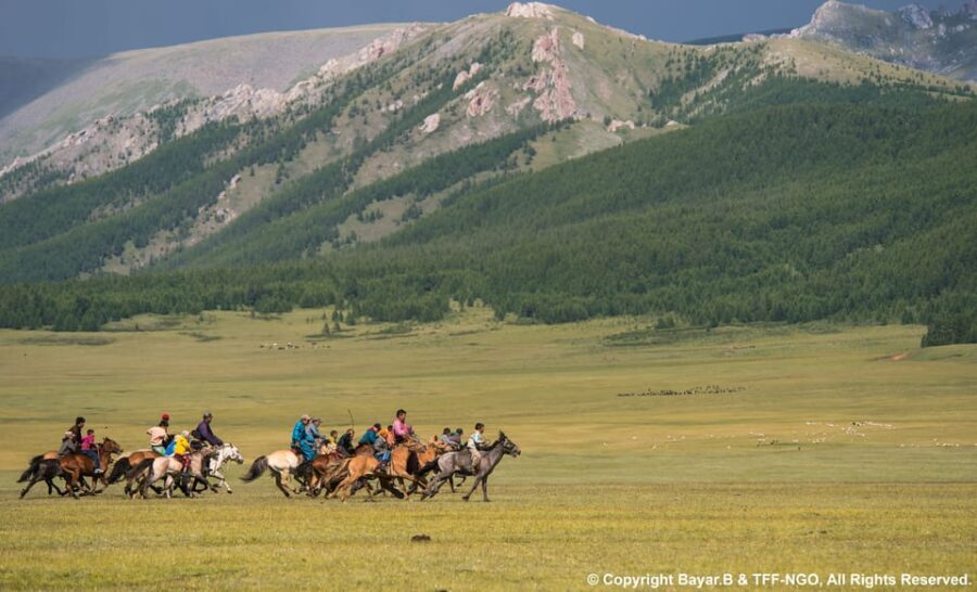 Terelj National Park: Tour with horse riding and hiking - Practical Details and Value