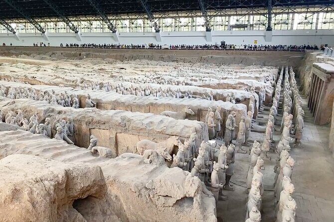 Terracotta Warriors Museum of Xi'an Live Virtual Tour - Why This Tour Is a Great Choice