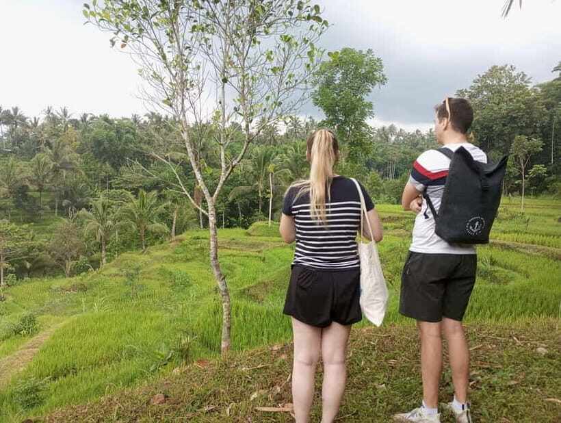 Tetebatu Tour Experience: Ricefield, Waterfall, monkeyforest - Authenticity and Value: Why This Tour Works
