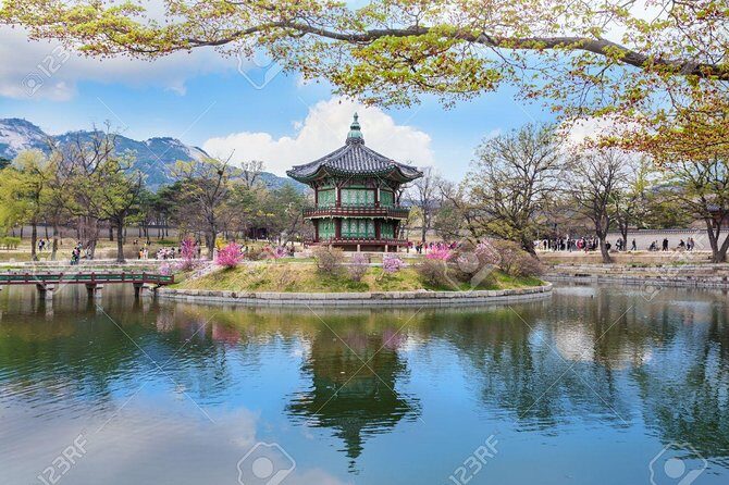 The Beauty of the Korea Cherry Blossom Discover 9days 8nights - What Does the Price Cover? Is It Worth It?