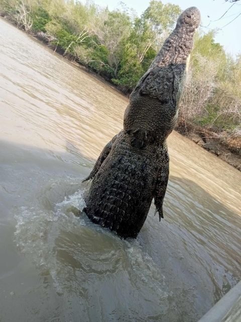 The best Litchfield Tour and the best Crocodile Cruise VIP - FAQs