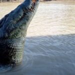 The best tour of Litchfield and crocodiles on the river - The Itinerary in Detail