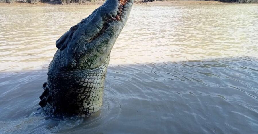 The best tour of Litchfield and crocodiles on the river - The Itinerary in Detail