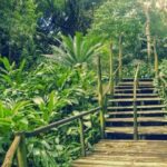 The Cave Tour with Fijian Village, local school and light lunch - Who Will Love This Experience?