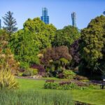 The Explorer - Melbourne Gardens - Who Should Consider This Tour?