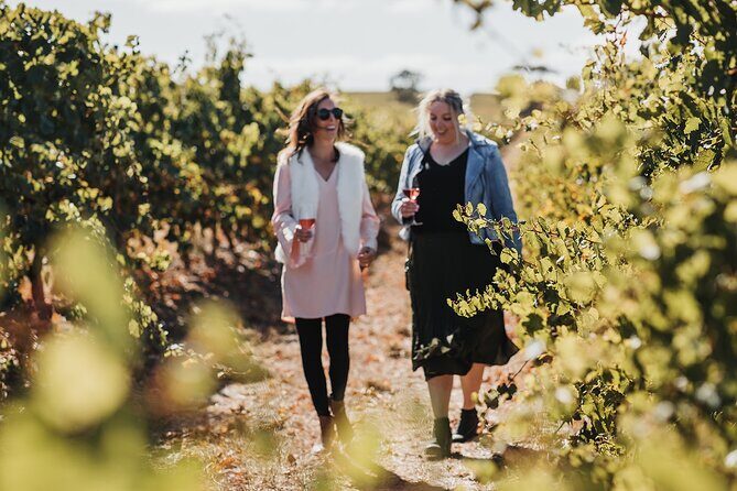 The Florita Wine Tasting Experience - FAQ