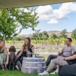 The Grape Vine - Final Thoughts