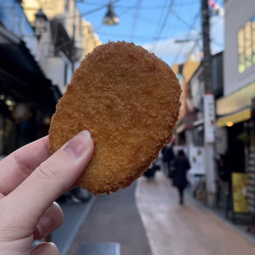 The hidden flavors of Yanaka: Tokyo's historic gourmet district - Starting at Nezu Shrine: A Spiritual Gateway