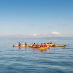 The Maori Carvings Half Day Kayak - A Closer Look at What You Can Expect