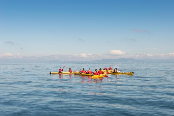The Maori Carvings Half Day Kayak - A Closer Look at What You Can Expect