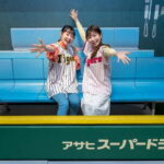 The Museum of Hanshin Koshien Stadium Entry Ticket - The Highlights of the Museum Experience