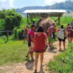 The Must-Do: Authentic Elephant & Village Life in Chiang Mai - Price and Value