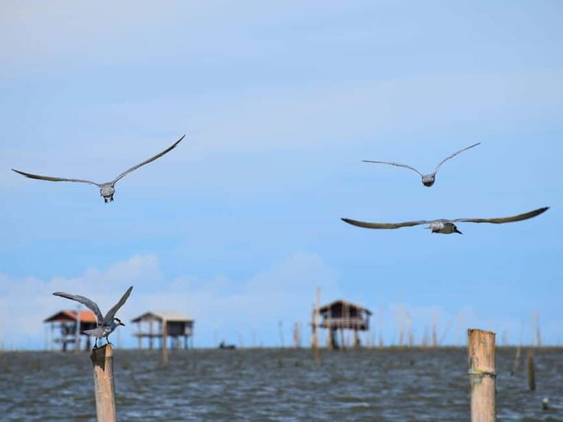 The Nature BKK: Boat to Mangrove & Train to Maeklong Market - How Good Is the Value?