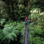 The Original Canopy Zipline Experience Private Tour From Auckland - The Itinerary: A Step-by-Step Breakdown