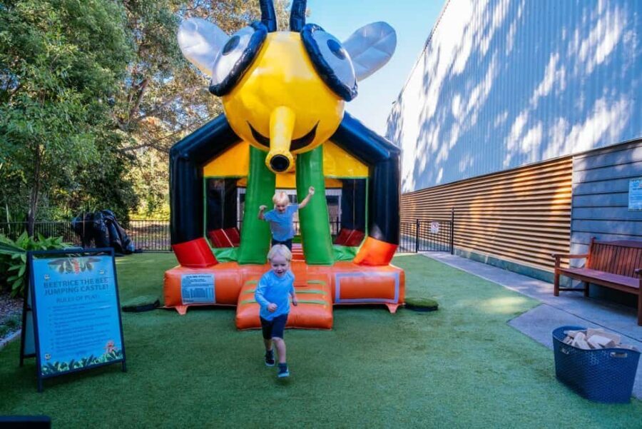 The Sunshine Coast: The Ginger Factory Play All Day - Who Is This Experience Best For?