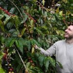The Tastes of Tamborine Mountain - The Itinerary in Detail