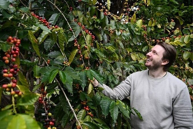 The Tastes of Tamborine Mountain - The Itinerary in Detail